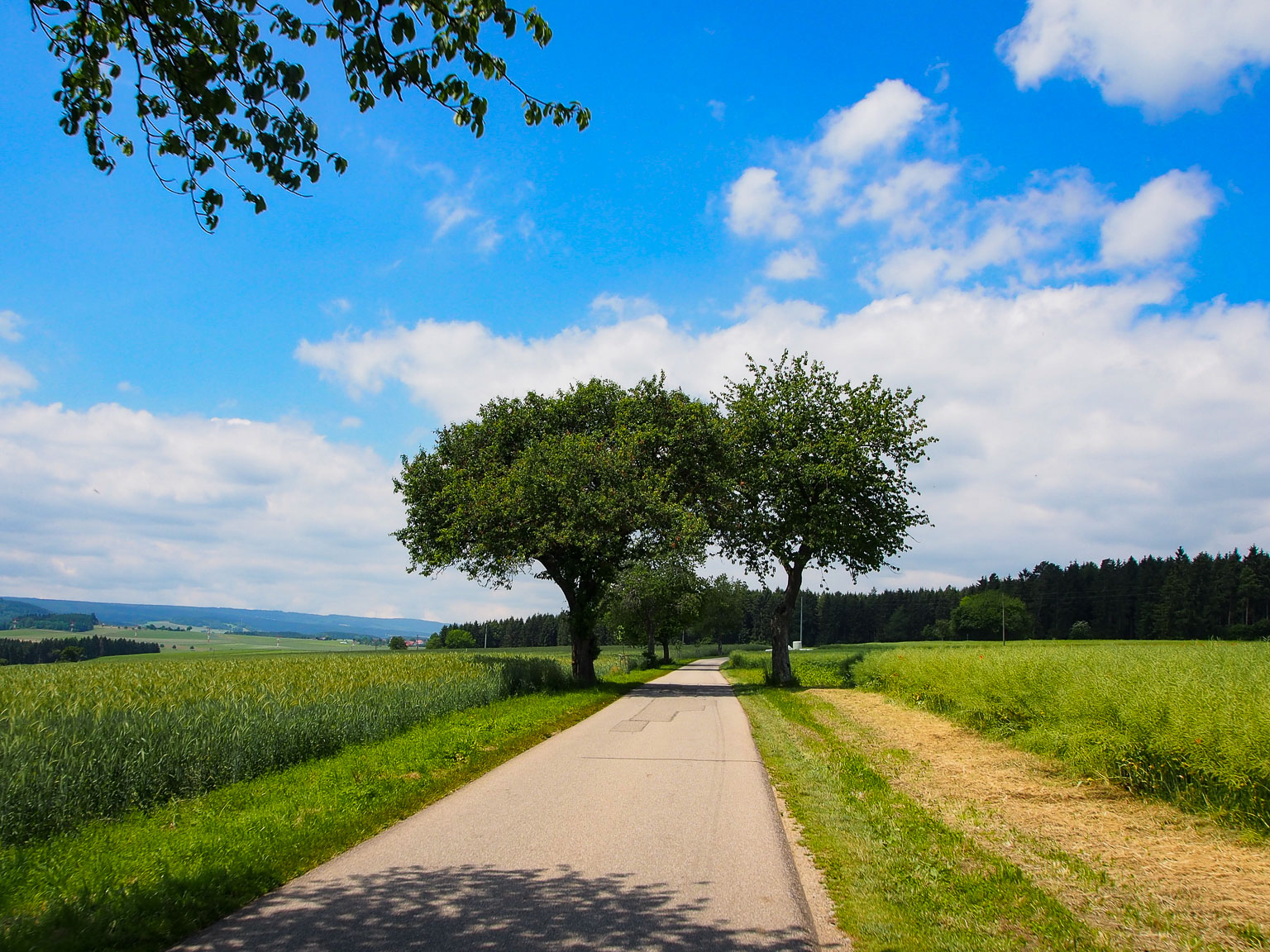 Hiring a Campervan in Germany: Van Review